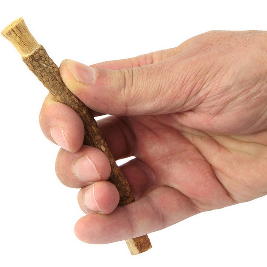 Hukum Bersiwak Siang Hari Ramadhan Menurut Mazhab Syafi’i